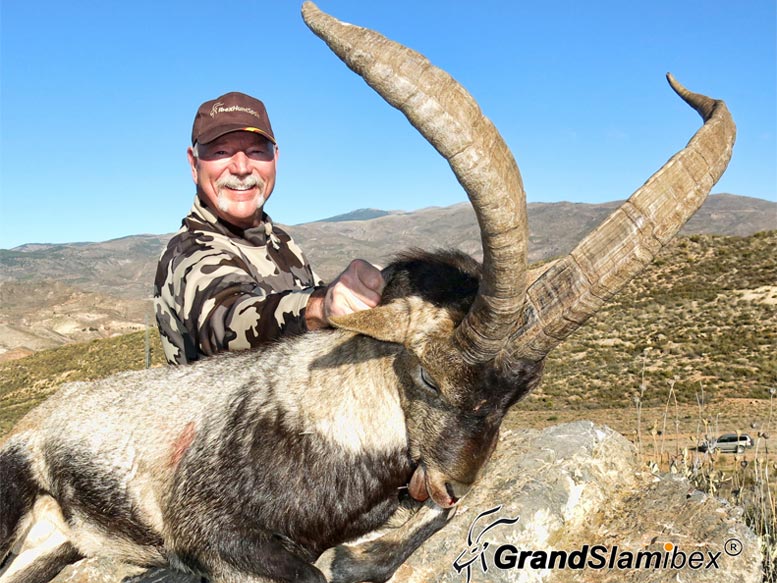 Spanish Ibex Hunt