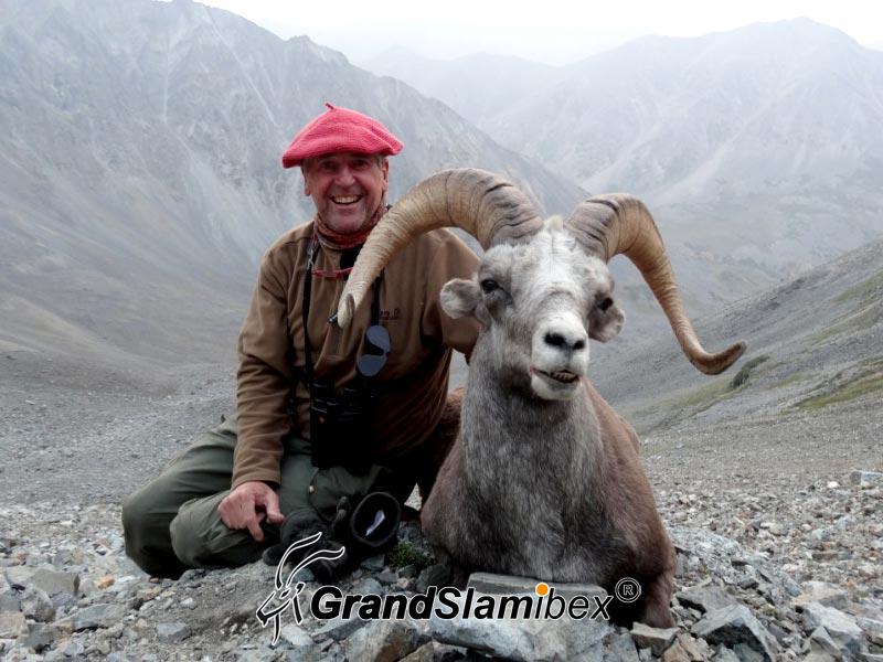 Russian Snow Sheep